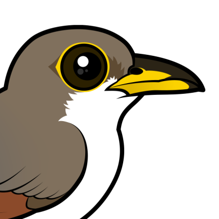 Shop Bird Families & Species: Browse Birdorable Designs