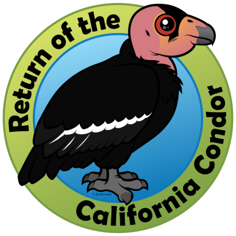 Return of the California Condor
