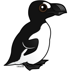 Great Auk Gifts by Birdorable | Famous Extinct Bird