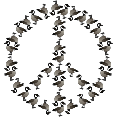 Funny Geese / Peace Symbol Gifts with Cute Canada Goose