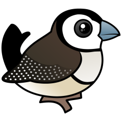 Double-barred Finch