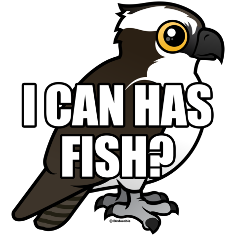 Funny I Can Has Fish? T-Shirts & Gifts with Cute Osprey