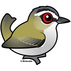 Shop Birdorable Red-eyed Vireo Cartoon Bird Gift Ideas