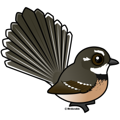 Grey Fantail Cute Carton Bird by Birdorable | Gifts!