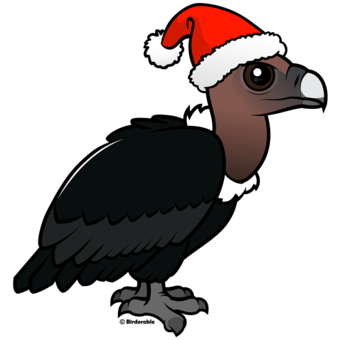 White-rumped Vulture as Santa Claus for Christmas Fun