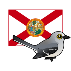 Northern Mockingbird State Bird of Florida Products
