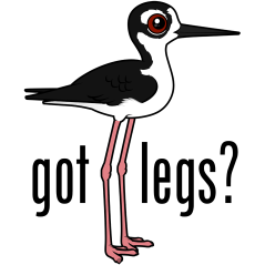 Funny "got legs?" Leggy Black-necked Stilt Gifts from Birdorable