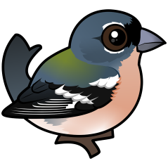 Shop African Chaffinch Cute Cartoon Gifts from Birdorable