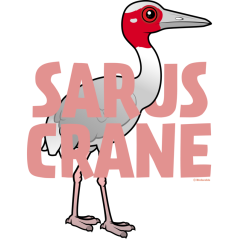 Sarus Crane Apparel, Gifts. Jumbo Text Logo Style Look