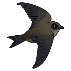 Cute Cartoon Chimney Swift Gifts from Birdorable