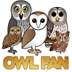 Owl Fan