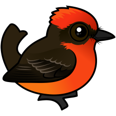 Vermilion Flycatcher by Birdorable | Cute Cartoon Bird Lover Gifts