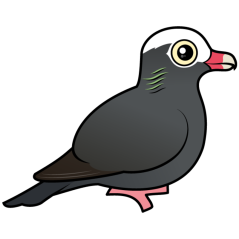 Cute Cartoon White-crowned Pigeon Birdorable Gifts & Shirts