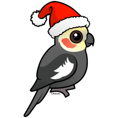 Buy Cute Cartoon Cockatiel Santa Claus T-Shirts & Gifts