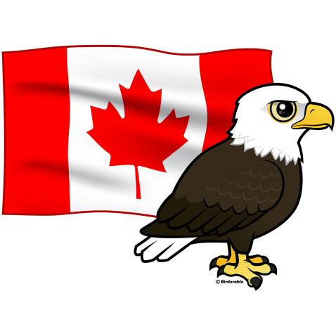 Birdorable Bald Eagle with Canada Flag T-Shirts & Gifts
