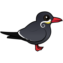 Cute Cartoon Inca Tern Birdorable Gifts & Apparel