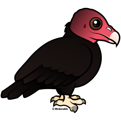 Birdorable Turkey Vulture