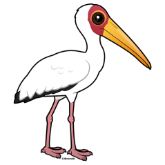 Shop Cute Yellow-billed Stork Cartoon Bird Lover Gifts