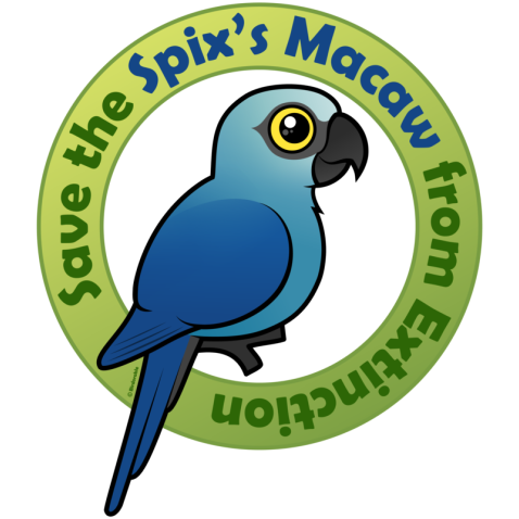 Save the Spix's Macaw from Extinction