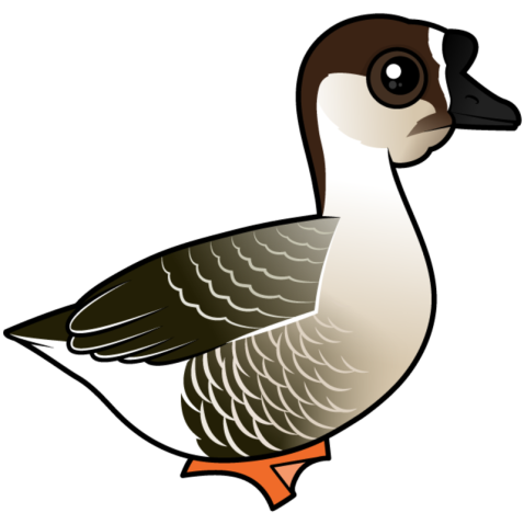Chinese Goose