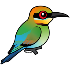 Rainbow Bee-eater by Birdorable Cute Cartoon Bird Gift Ideas
