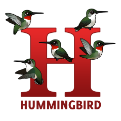 H is for Hummingbird Cute Birdorable Alphabet Shirts & Gifts