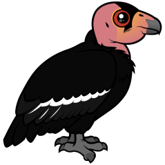Cute Birdorable California Condor Gifts for Birders & Bird Lovers