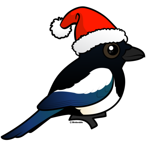 Christmas Magpie Wears Santa Hat | Cute T-Shirts, Gifts