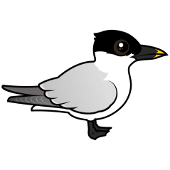 Cute Cartoon Sandwich Tern Gifts & T-Shirts from Birdorable