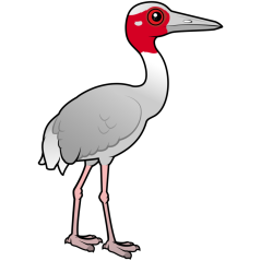 Shop for Cute Cartoon Sarus Crane T-Shirts & Gifts