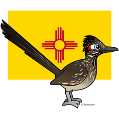 New Mexico State Bird Gifts with Greater Roadrunner
