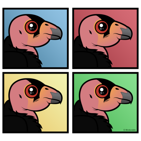 Four Color California Condor Design by Birdorable