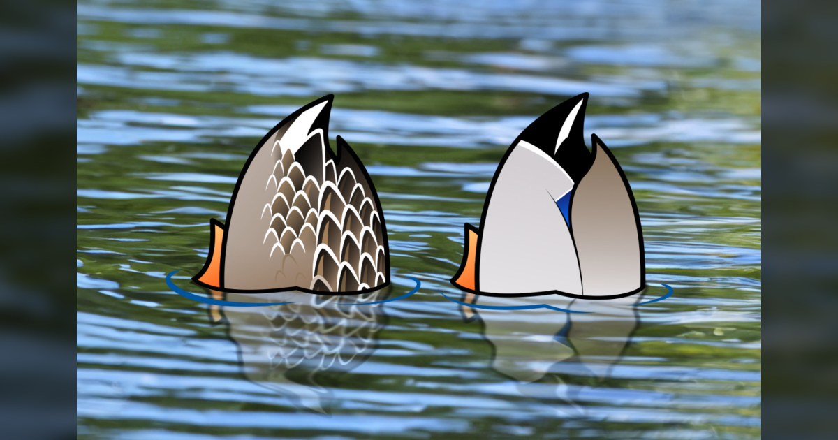 Get a Glimpse of Duck Butts with Birdorable's Latest Design