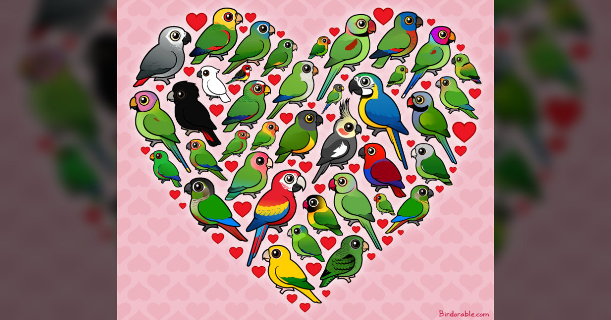 The Perfect Gift for Parrot Lovers: A Birdorable Heart of Parrots