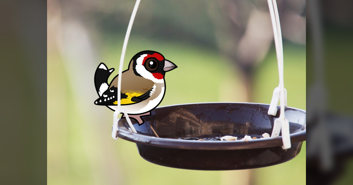 Adorable European Goldfinch: A Backyard Favorite | Birdorable