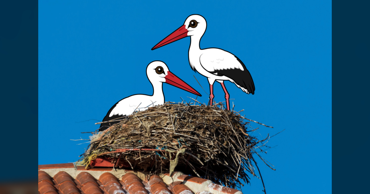 Welcome the Birdorable White Stork: Iconic Bird of the Old World