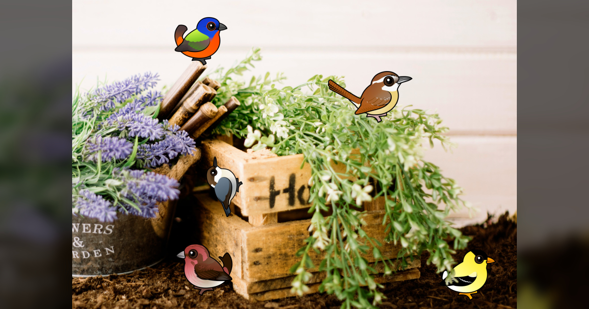 10 Easy Ways to Save Birds, Starting at Your Home