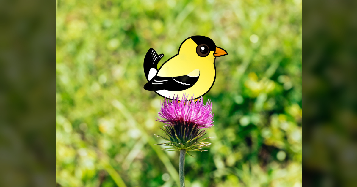 Discover the Vegetarian Diet of American Goldfinches