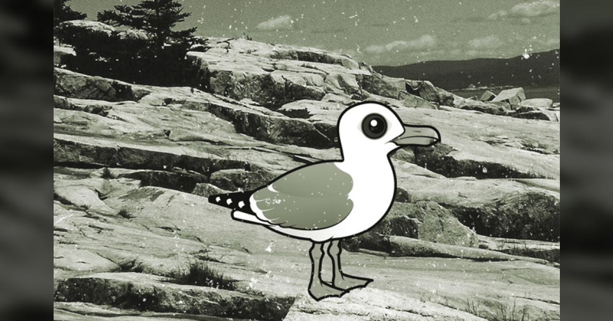 Utah's State Bird: The California Gull's Place in History