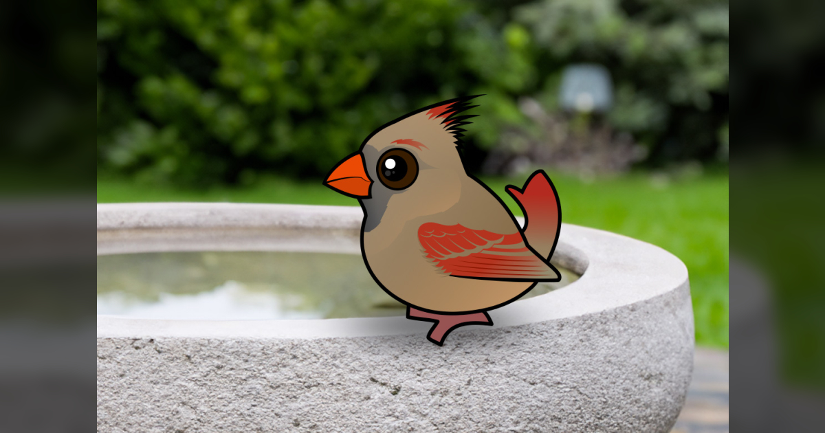 Singing Female Northern Cardinal: Breaking Birdsong Stereotypes