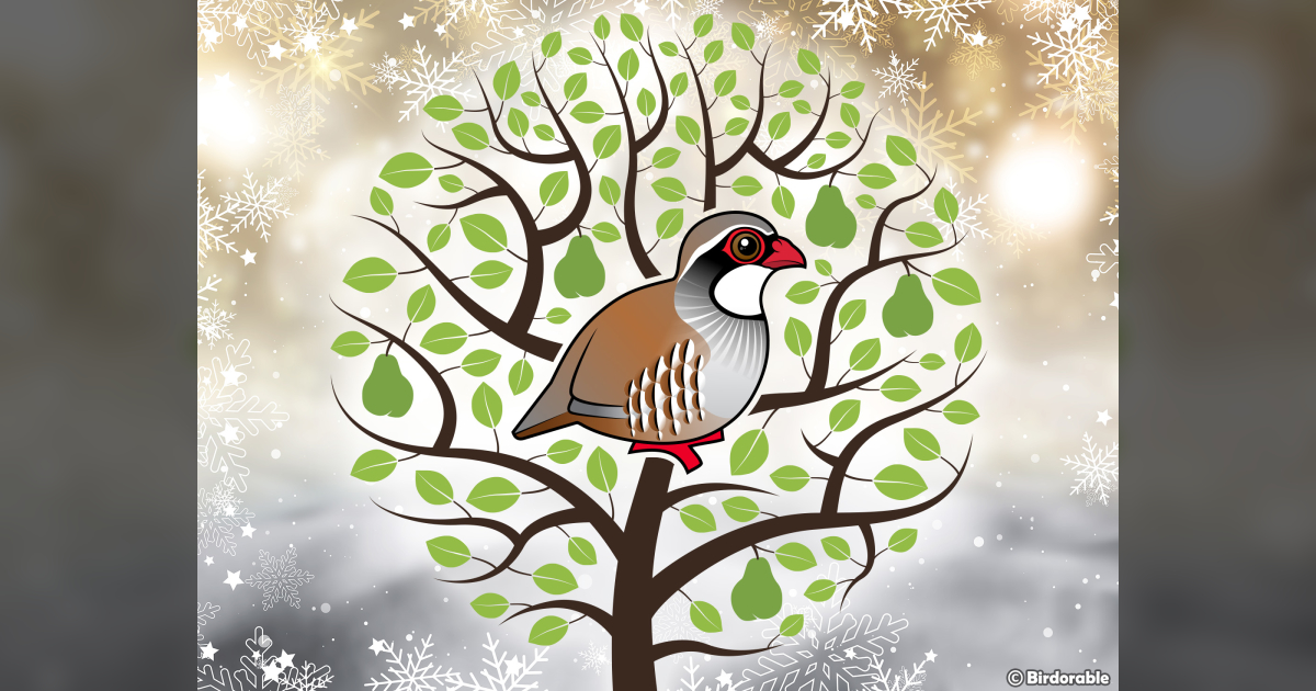12 Days of Birdorable Xmas Begins with the Red-legged Partridge