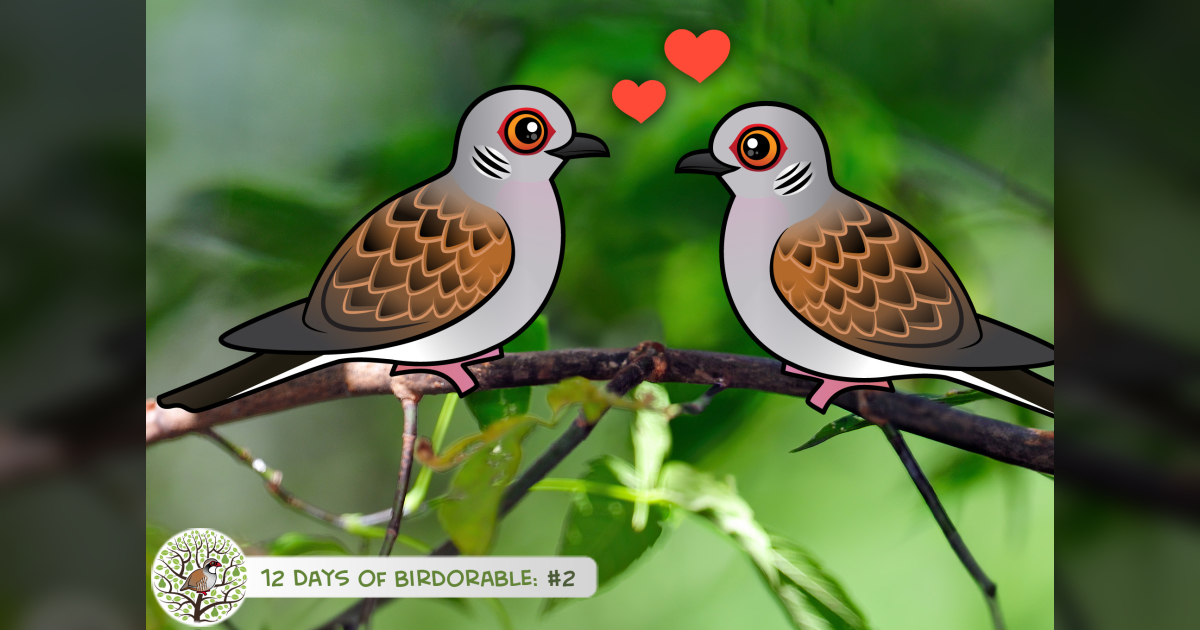 The Turtle Dove: A Birdorable Sign of Love this Holiday Season