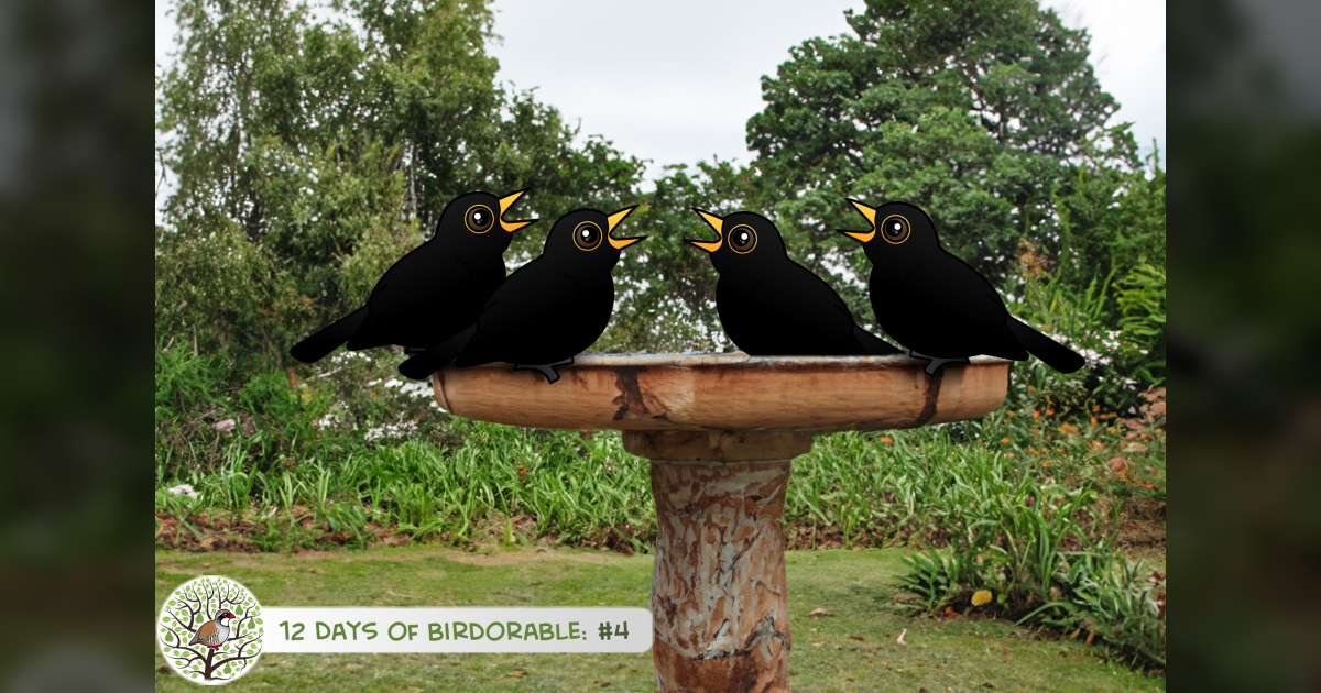 Celebrate the Holidays with Birdorable's Four Calling Blackbirds