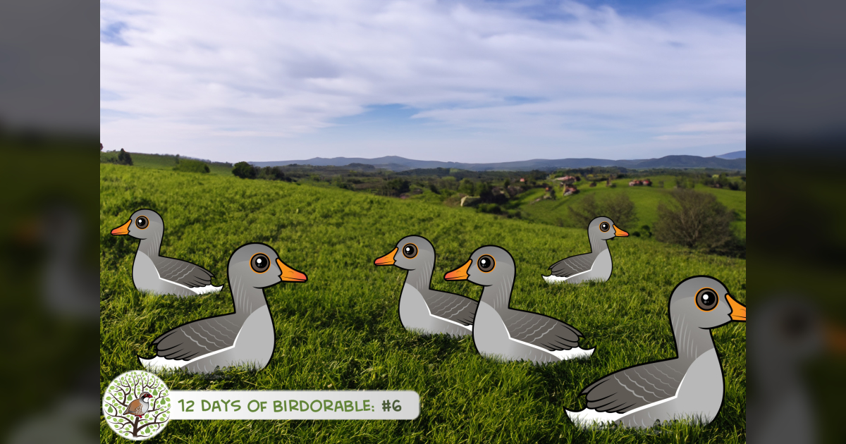 Six Geese-a-Laying: Birdorable Greylag Goose's Holiday Spotlight