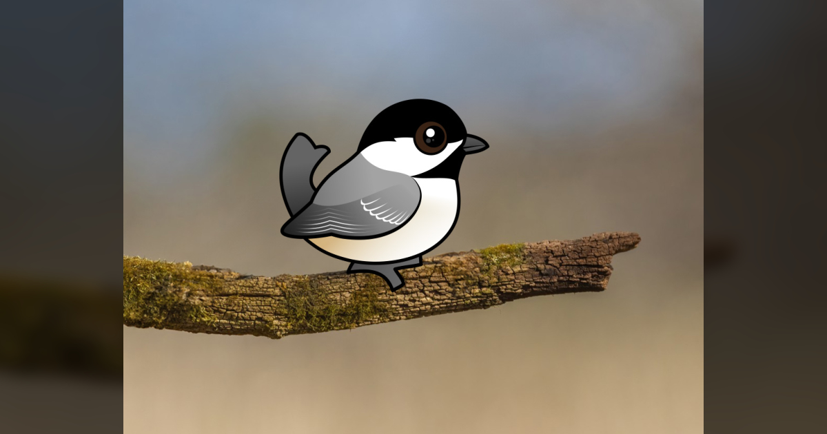 List of Fun Facts About Chickadees by Birdorable