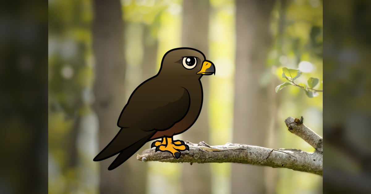 17 New Bird Species Added to Birdorable