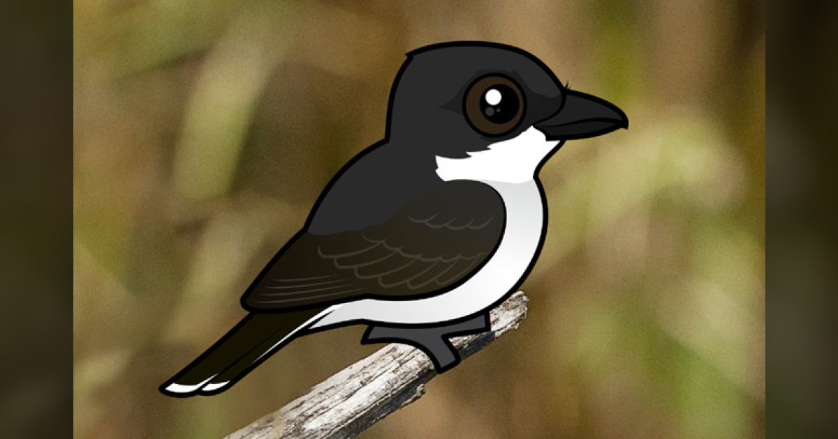 Meet the Birdorable Eastern Kingbird: The Tyrant of Flycatchers