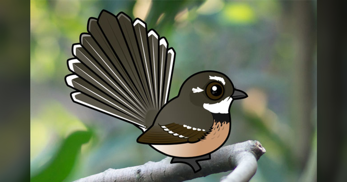 The Grey Fantail Joins Birdorable: Australia's Acrobatic Performer
