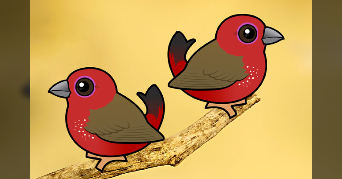 The African Firefinch: Sub-Saharan Africa's Finchy Jewel