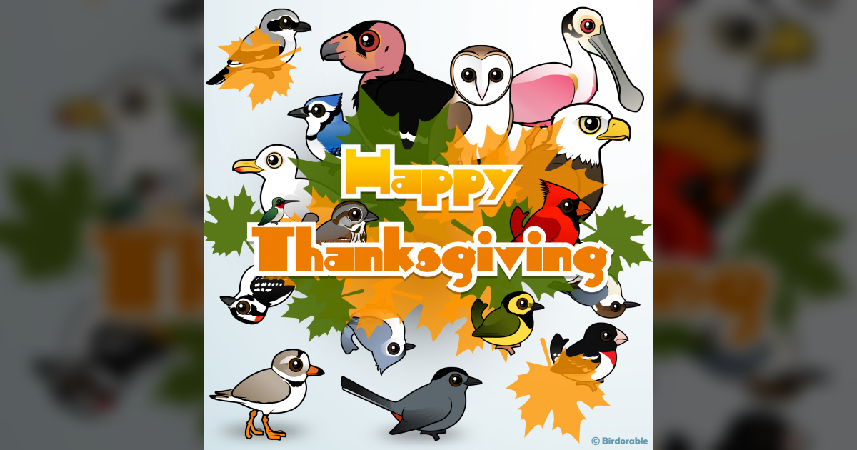 Happy Thanksgiving from Birdorable